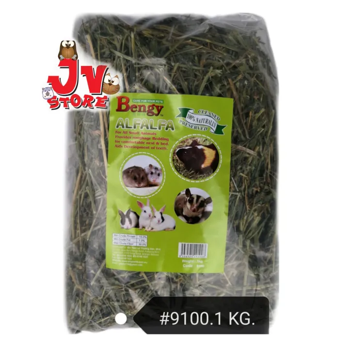 Bengy Alfalfa Hay for Rabbit Guinea Pig Chinchilla Makanan Arnab 1kg ...