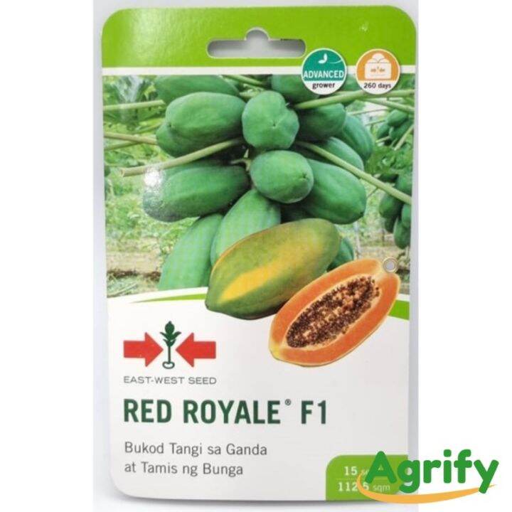 Red Royale F1 EastWest Papaya Seeds | Lazada PH