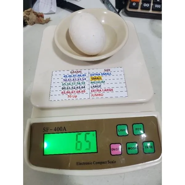 52qAPwx8 square digital egg scale weighing scale no adaptor battery ...