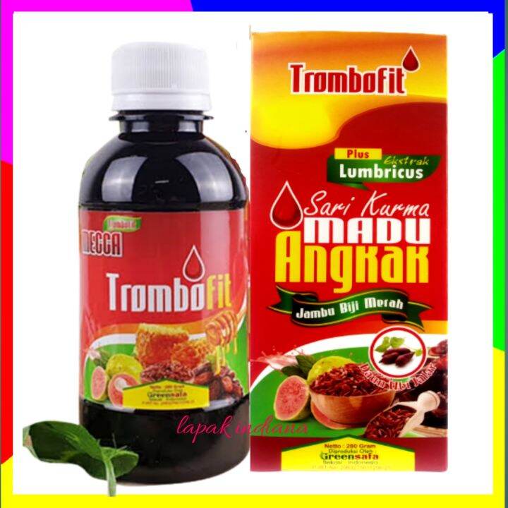 Obat Demam Berdarah DB Tinggi DBD Malaria Gigitan Nyamuk Alami Manjur ...