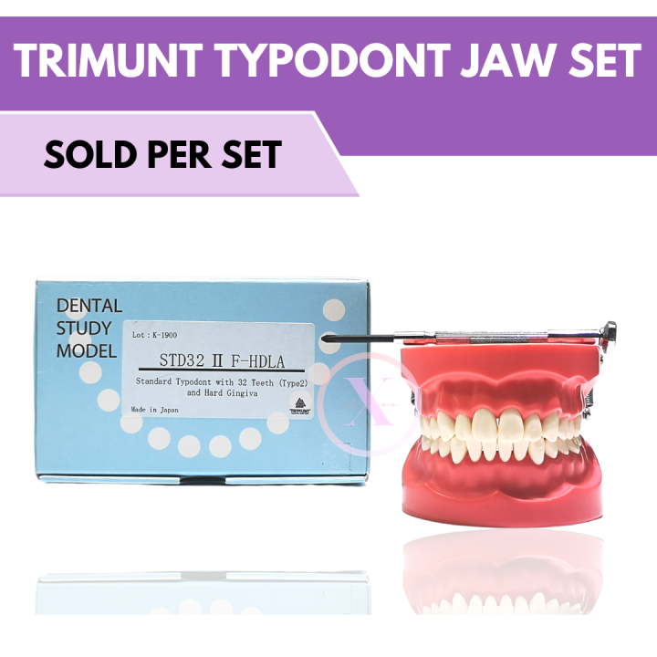 Trimunt Typodont Set | Lazada PH