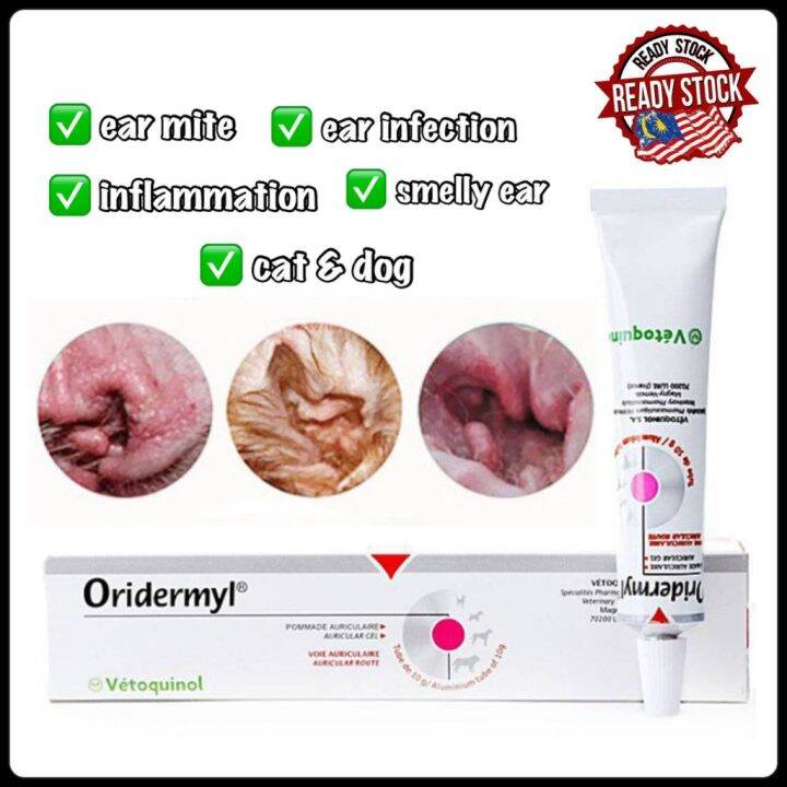 ORIDERMYL R 10g Gel Ear Ointment Infection Mites Drop Cat Dog Pet Anti ...