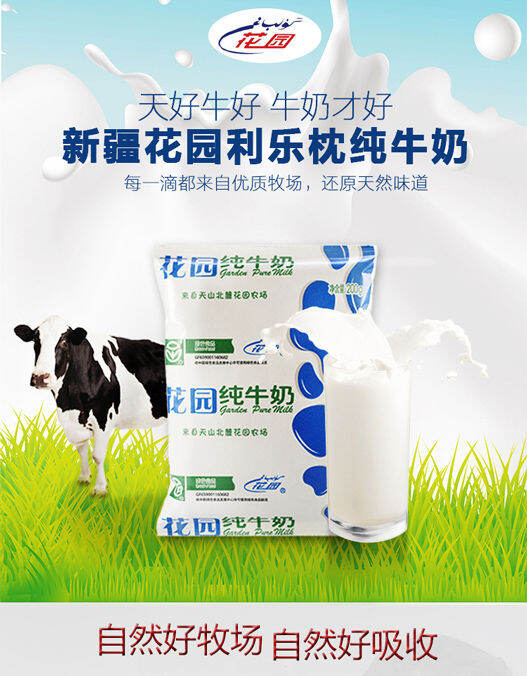 [Fresh Date] Xinjiang Garden Milk Tetra Pillow Breakfast for Pregnant ...