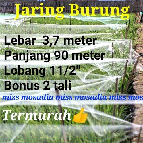 Jaring Burung Sawah 0.12 1½ inchi 100md/100yds jaring burung kecil jaring burung pipit jaring ...