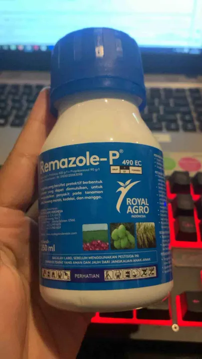 REMAZOLE-P 490EC (250ml) FUNGISIDA YANG BERFUNGSI UNTUK MENGENDALIKAN ...