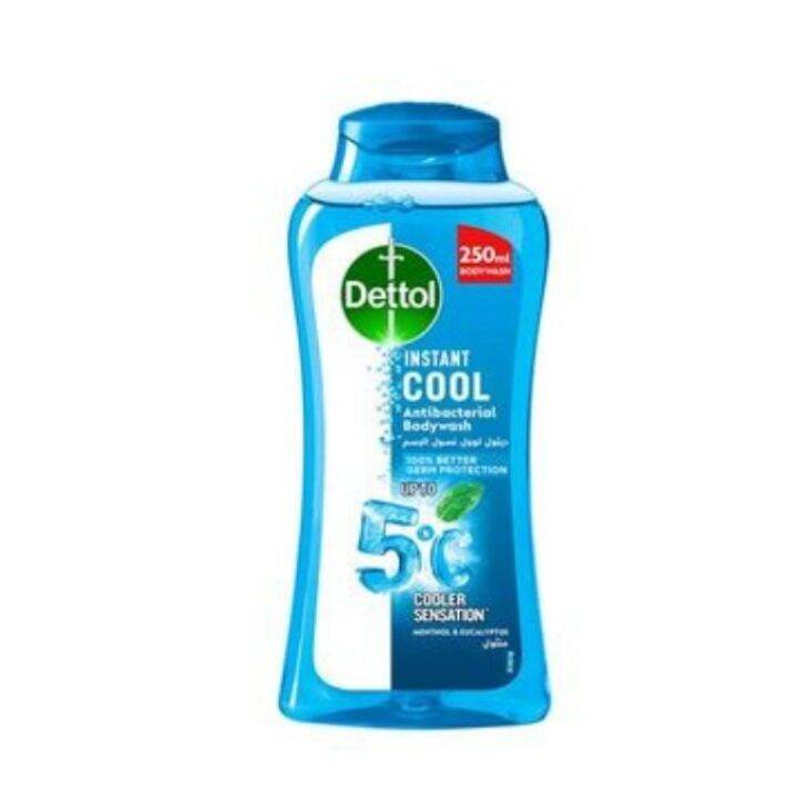 DETTOL INSTANT COOL BODY WASH 250G | Lazada