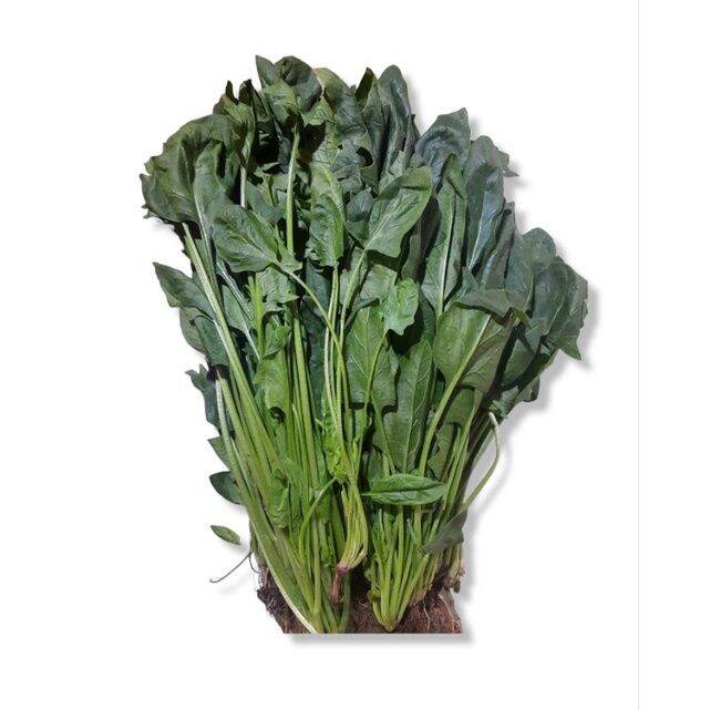 horenzo/pocai/polling/bayam jepang 500 gram | Lazada Indonesia