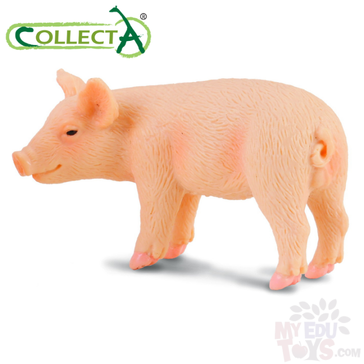 CollectA Piglet (Standing) 88063 Farm animal toy pig figurine ...