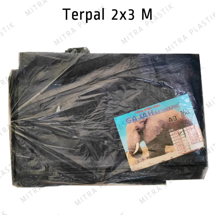 Terpal Plastik 2x3 Meter Tebal A3 Cap Gajah Tenda Abu Biru | Lazada ...