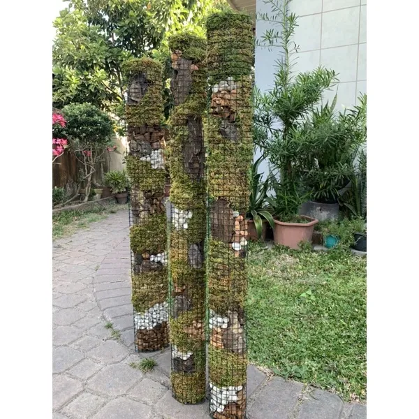 popular Terrain Rounded Moss Board | Moss Board (FeyMoss Plant Poles ...
