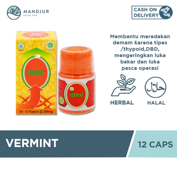 Vermint 12 Kapsul - Obat Demam Tipes dan DBD | Lazada Indonesia
