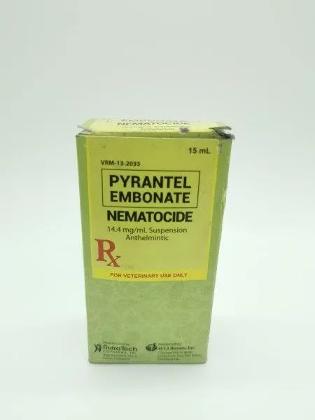 PANG TANGAL BULATE SA TUTA | Lazada PH