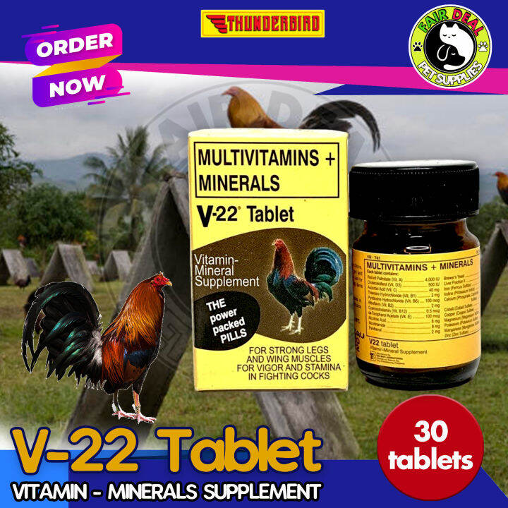 V-22 ARVET (30 tablets per bottle) | Lazada PH