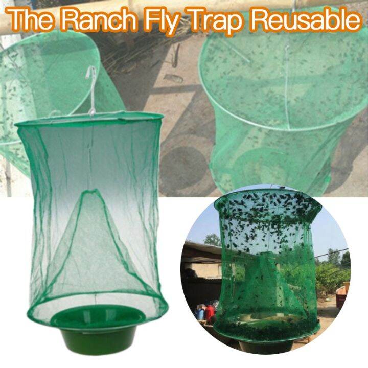 The Ranch Fly Trap Reusable Fly Catcher Killer Cage Net Trap Pest Bug Catch for Indoor or ...