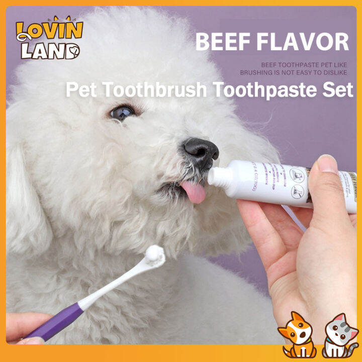 Lovinland Beef Pet Teeth Cleaning Cat Dog Healthy Edible Toothpaste ...
