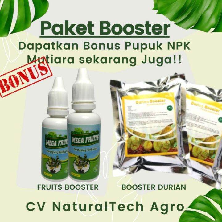 Promo Pupuk Booster Buah lebat Paket Lengkap Pohon Durian Plus Pupuk Booster Buah Mega Fruits ...