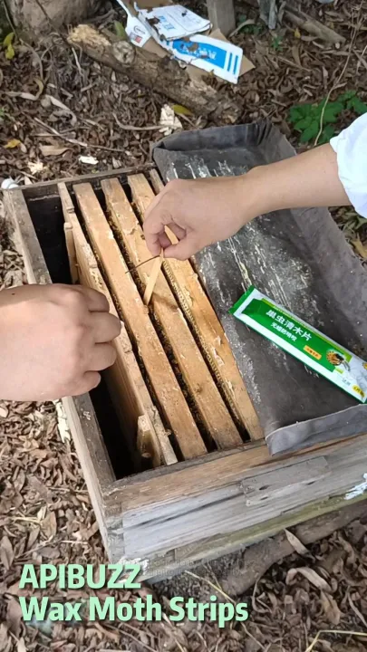 Wax Moth Treatment in Beehive Wooden Strips for Bees Wax Moth ...