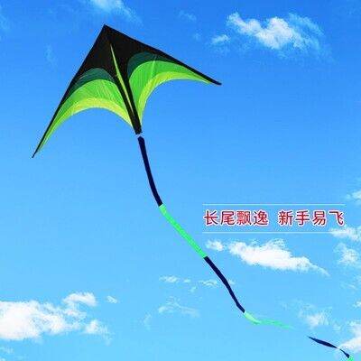 Kite adult special colorful bird prairie kite large-scale high-end long ...