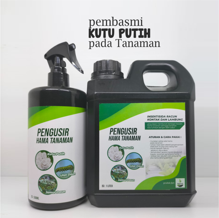 Pengusir Hama Tanaman | JAMUR DAUN DAN LALAT DAUN BERSIH | Lazada Indonesia