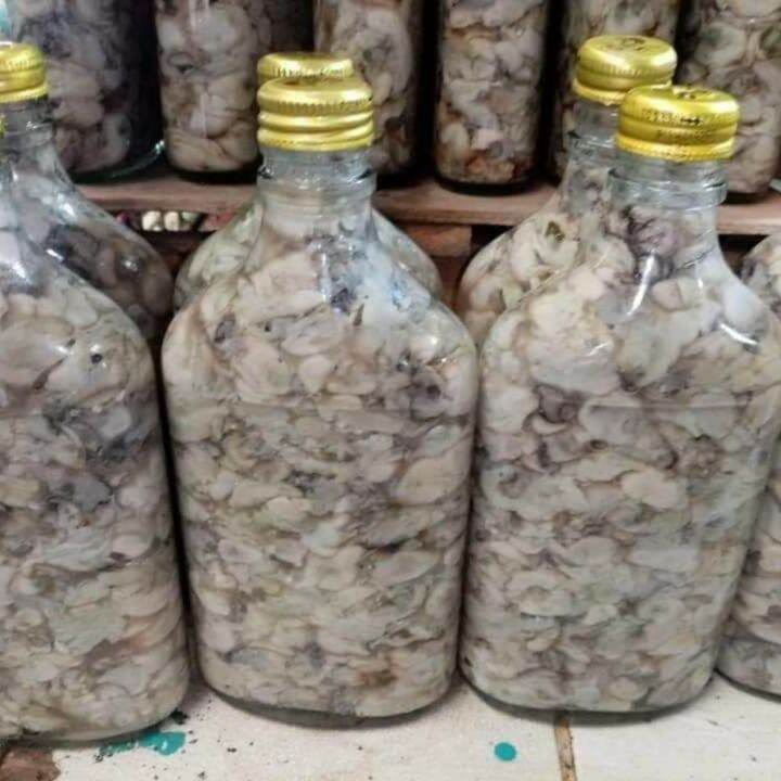 TALABA SISI | Lazada PH