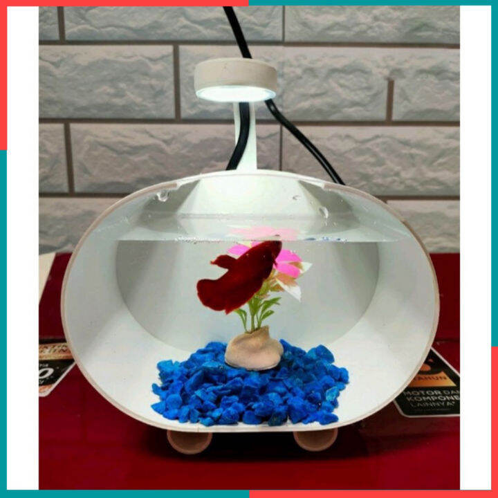 Aquarium mini cupang akuarium kecil ikan | Lazada Indonesia