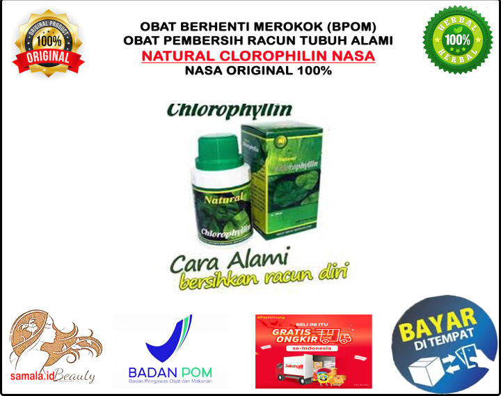Obat Herbal Paru Paru Asma Solusi Berhenti Mer0k0K Natural ...