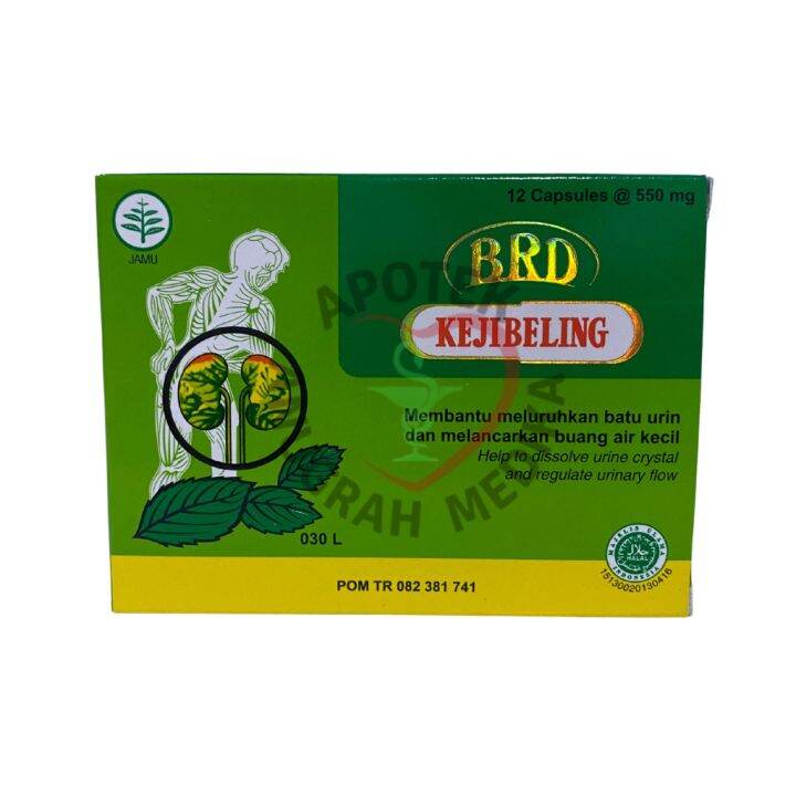 Keji Beling / Kejibeling - Obat Meluruhkan Batu Urin & Saluran Kemih ...