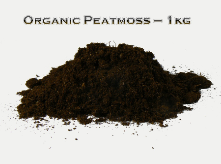 Organic Imported Peat Moss Tanah Semaian Seedling Soil Substrate ...