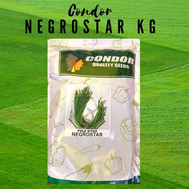 Condor Pole Sitao NEGROSTAR Kg | Lazada PH