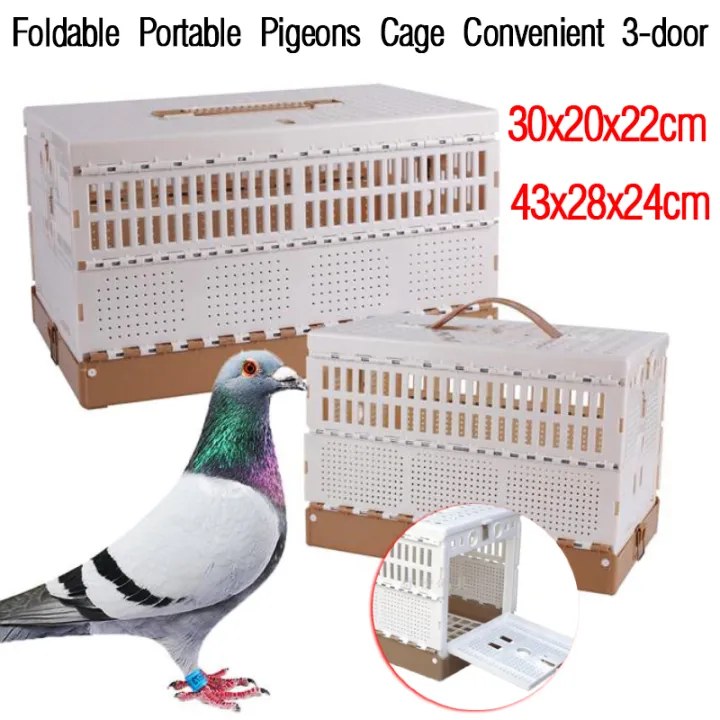 Pigeon Foldable Training Box Tbox Cage Plastic | Lazada PH