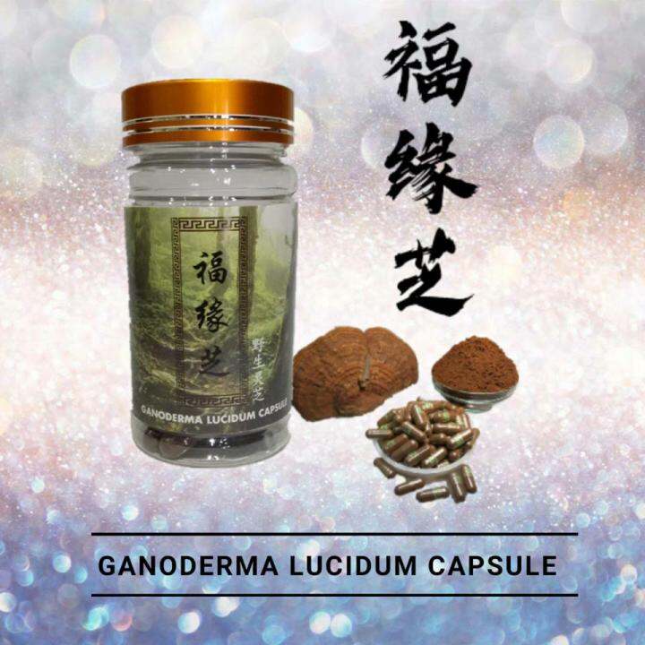 Ganoderma Lucidum Capsule (60 x 250mg) 灵芝胶囊 | Lazada