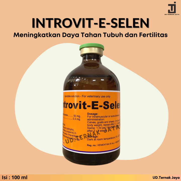 Introvit E Selen Injeksi 100 ml Vitamin Meningkatkan Daya Tahan Tubuh ...