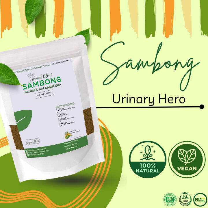 Sambong Powder P 170.00 per 100g | Lazada PH
