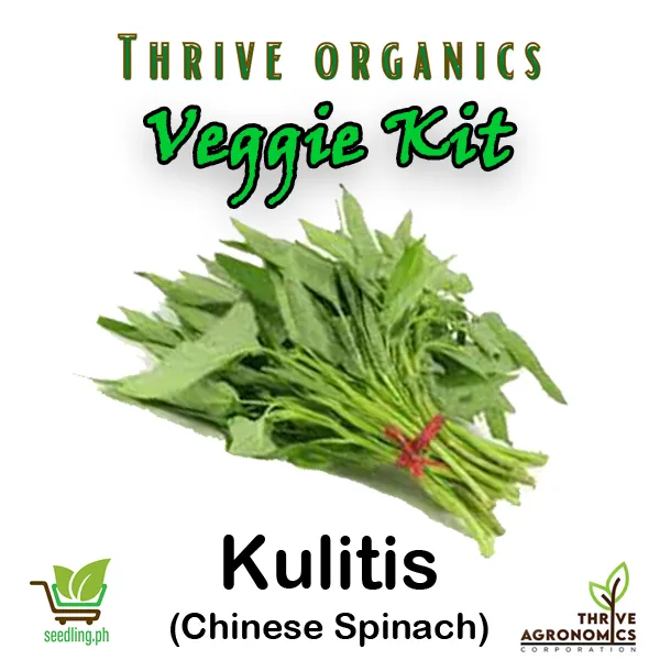 Kulitis |Chinese Spinach | Green Leafy Veggie Kit | Grow Kit | Seedling ...
