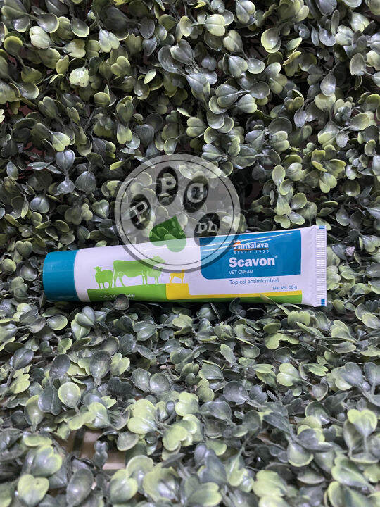 Himalaya Scavon Vet Cream 50G | Lazada PH