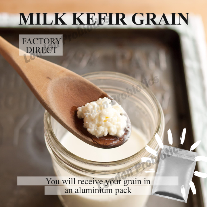 Active Milk Kefir Grains (25g + Starter Milk + guidance by professional ...