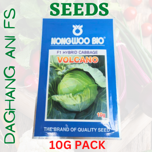 NONGWOO BIO HYBRID CABBAGE SEEDS VOLCANO 10G PACK | Lazada PH