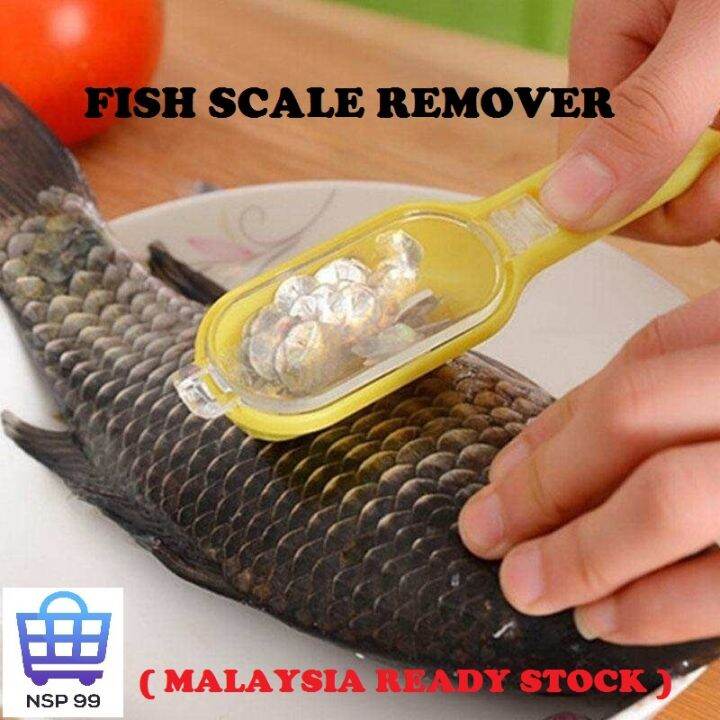 FISH SCALE REMOVAL WITH COVER | Lazada