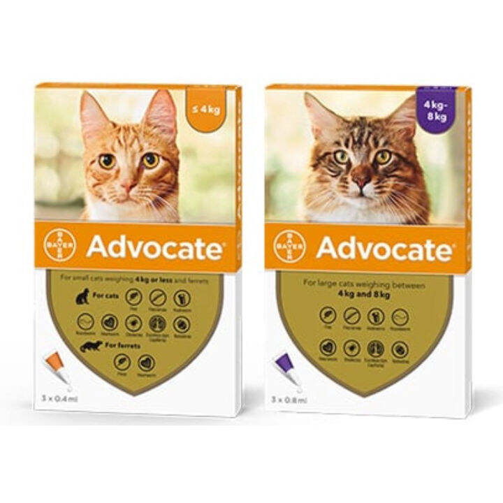 Advocate Spot On Treatment Anti Tick And Flea For Cats And Dogs With ...