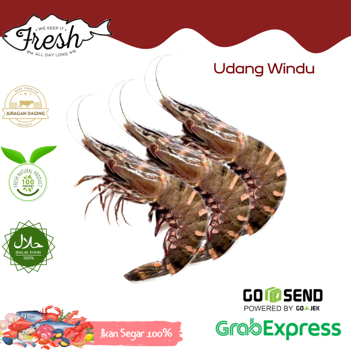 UDANG WINDU/UDANG PANCET FRESH 1kg | Lazada Indonesia