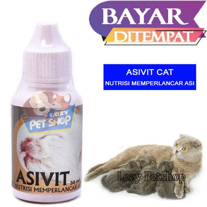 Obat Vitamin Memperlancar Asi Kucing Perbanyak Nutrisi Susu Kucing ...