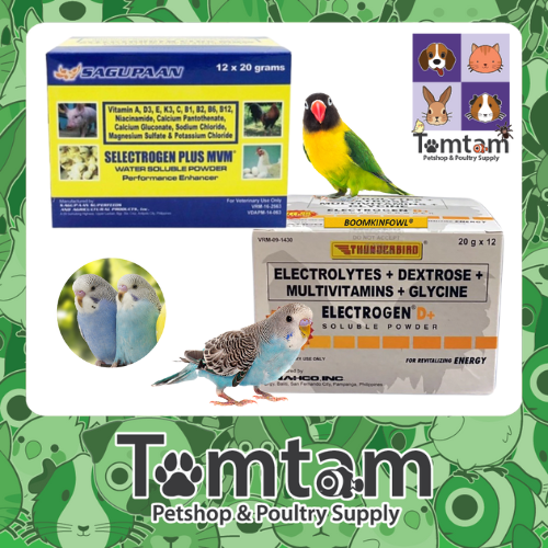 Bird Multivitamins original pack sachet | Lazada PH