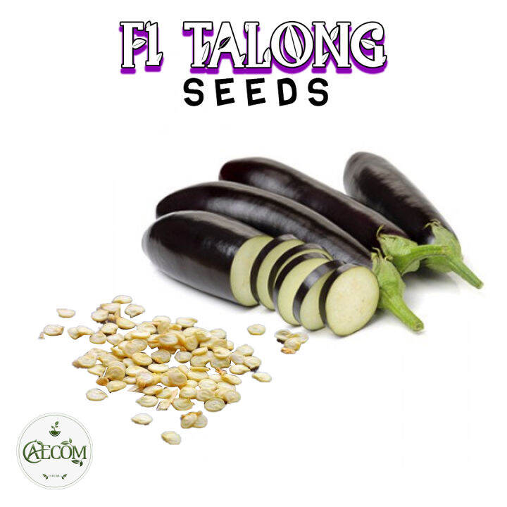 CAECOM-TAL0NG SEEDS/FOR PLANTING/OUTDOOR GARDEN/PLANTING HYBRID/VARIETY ...