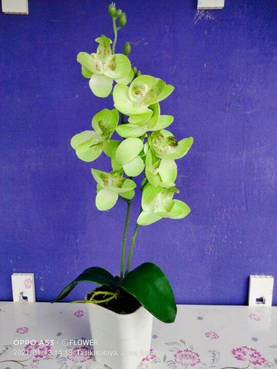 Bunga replika hiasan rumah ukuran (sedang) | Lazada Indonesia