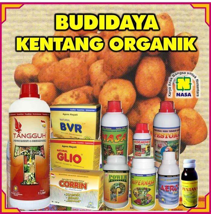 PUPUK BUDIDAYA KENTANG ORGANIK NASA POWER NUTRITION SUPERNASA POC NASA ... PUPUK BUDIDAYA KENTANG ORGANIK NASA POWER NUTRITION SUPERNASA POC NASA ...