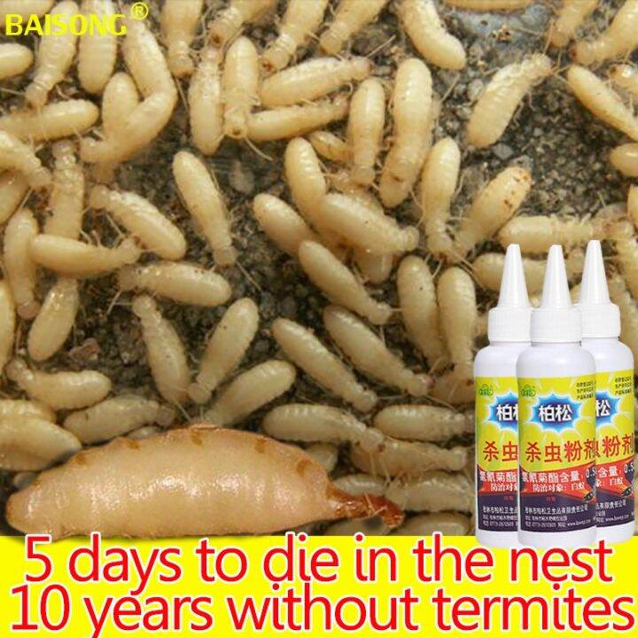Hot sale Queen ants die,infect each other,die quickly.Termite Killer ...