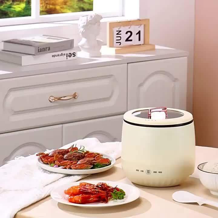 Mini Rice Cooker Small Electric Rice Cooker 1-2 Smart Home Multi ...