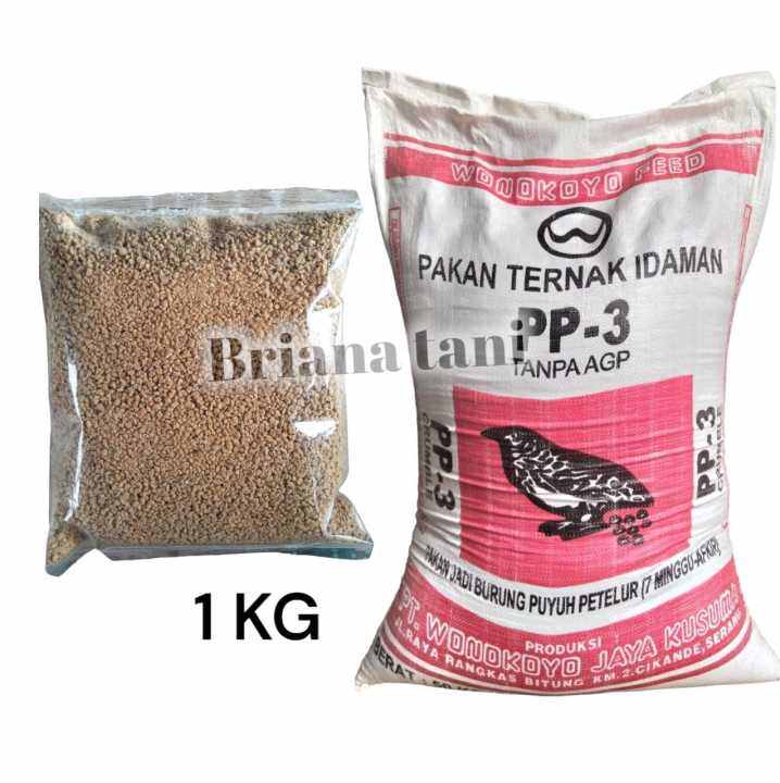 Repack 1 KG Makanan Pakan Puyuh Petelur PP-3 Tanpa AGP Wonokoyo Jaya ...