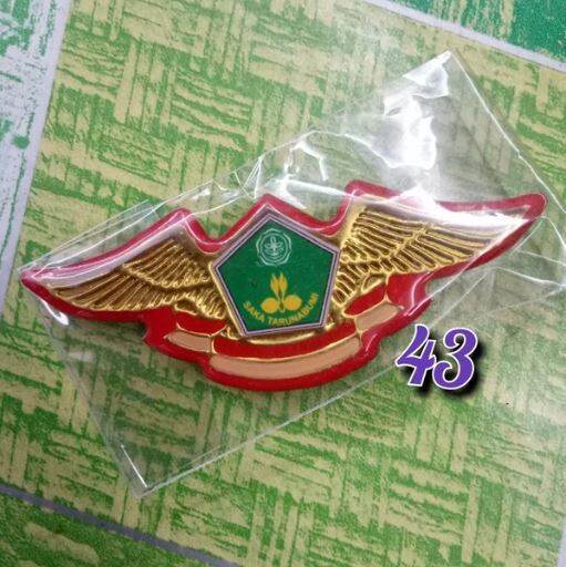 Pin Bros Lencana Brevet Wing Saka Taruna Bumi Satuan Karya Pramuka Tepi ...