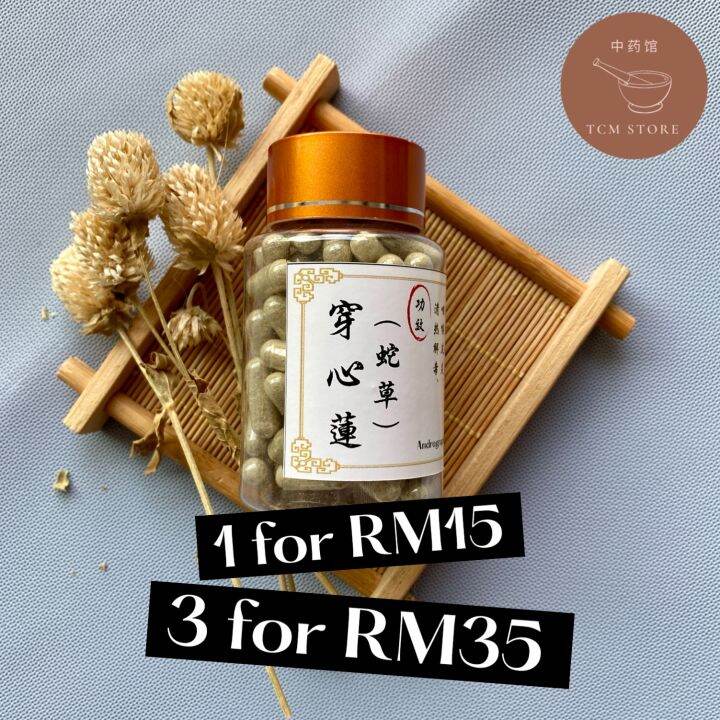 【清热解毒】Kapsule Hempedu Bumi/ 蛇草穿心莲丸/ Andrographis Capsule 100pcs | Lazada